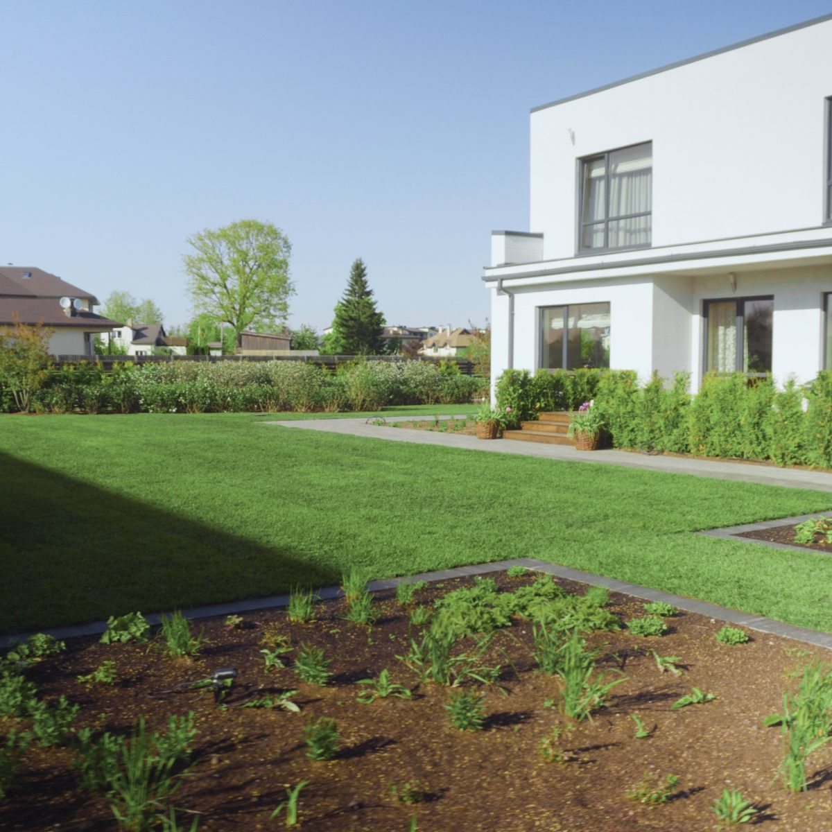 EasyGreen MURUVAIP - Siirdmuru EasyGreen on hoolikalt kasvatatud ...