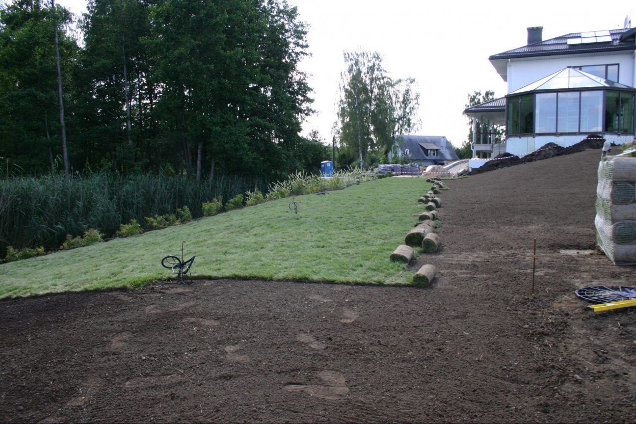 EasyGreen MURUVAIP - Siirdmuru EasyGreen on hoolikalt kasvatatud ...