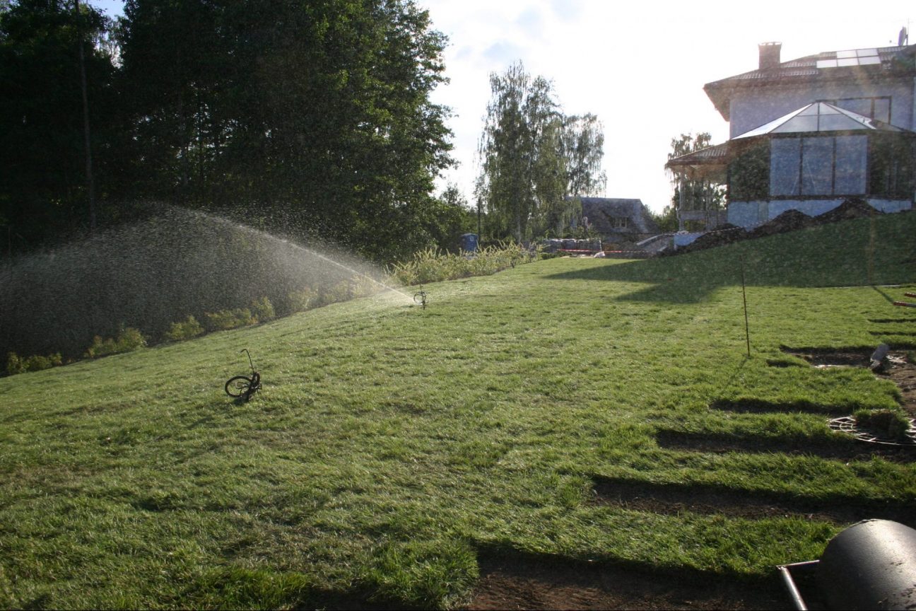 EasyGreen MURUVAIP - Siirdmuru EasyGreen on hoolikalt kasvatatud ...