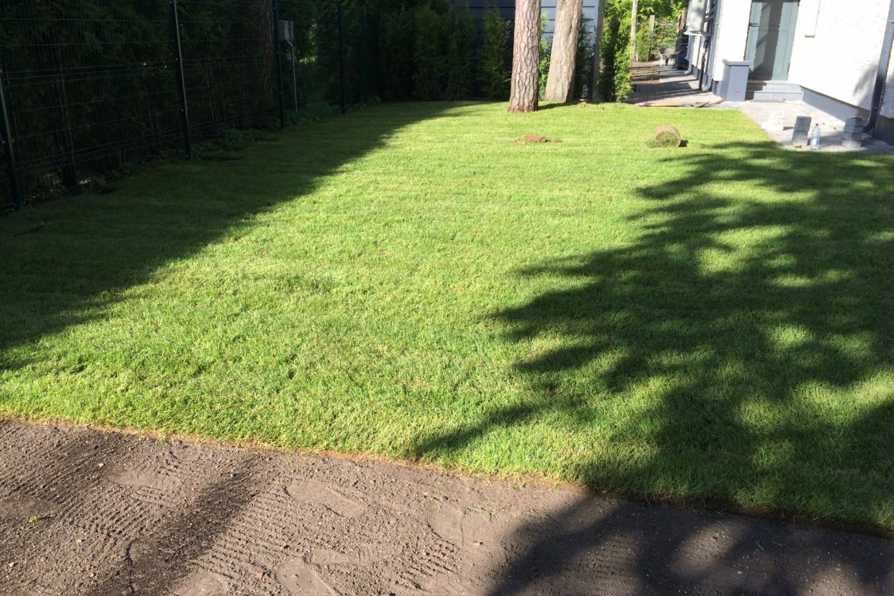 EasyGreen MURUVAIP - Siirdmuru EasyGreen on hoolikalt kasvatatud ...