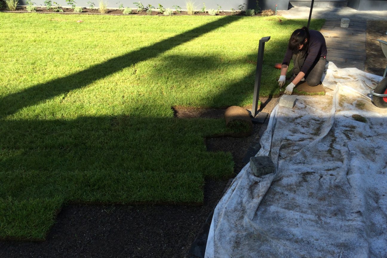 EasyGreen MURUVAIP - Siirdmuru EasyGreen on hoolikalt kasvatatud ...